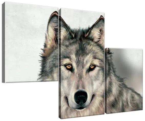 Tištěný obraz Šedý vlk 90x60cm 3341A_3L