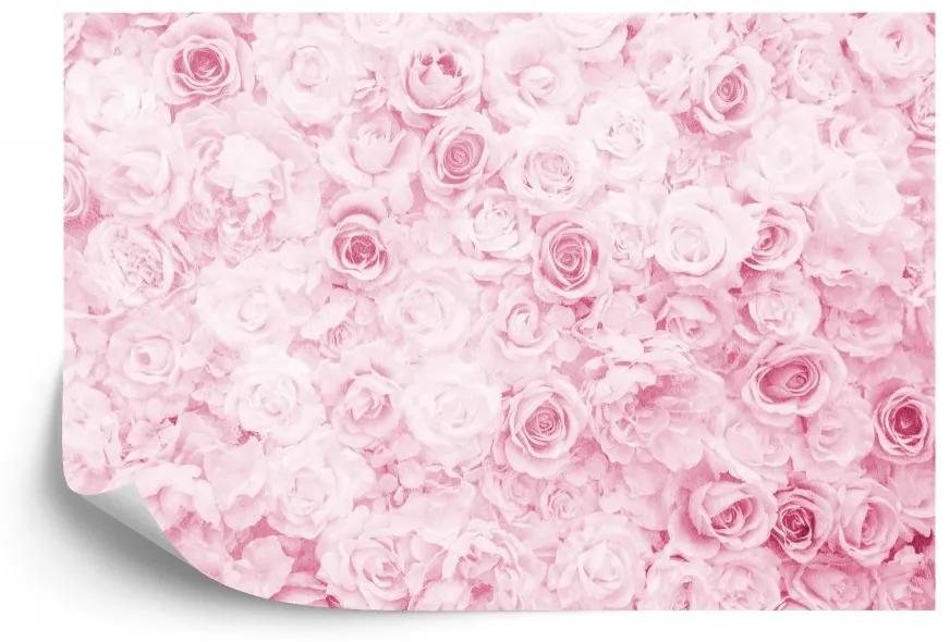 Fototapeta Vybledlé Květinové Vintage Růžové Samolepící tapety 254x184