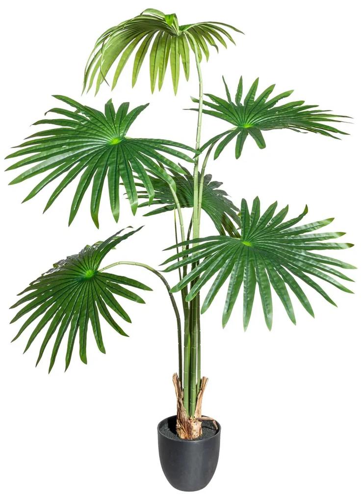 Gasper Umělá rostlina Washingtonie, 120 cm