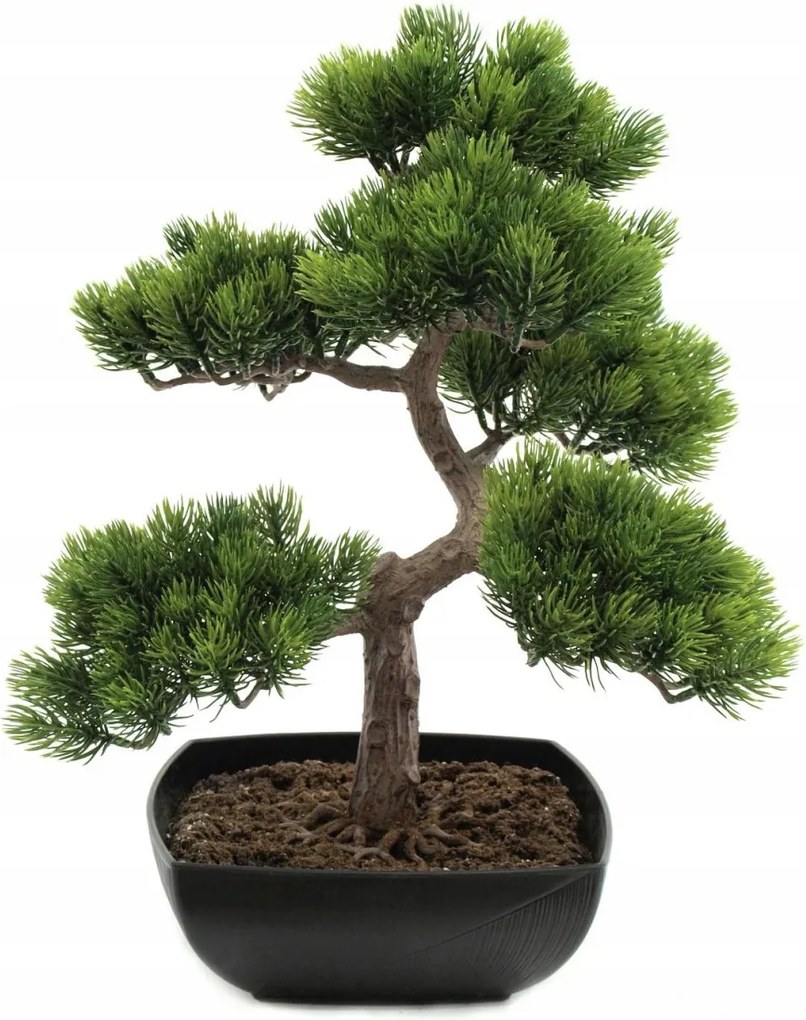 Europalms Bonsai borovice, umělá rostlina, 50cm