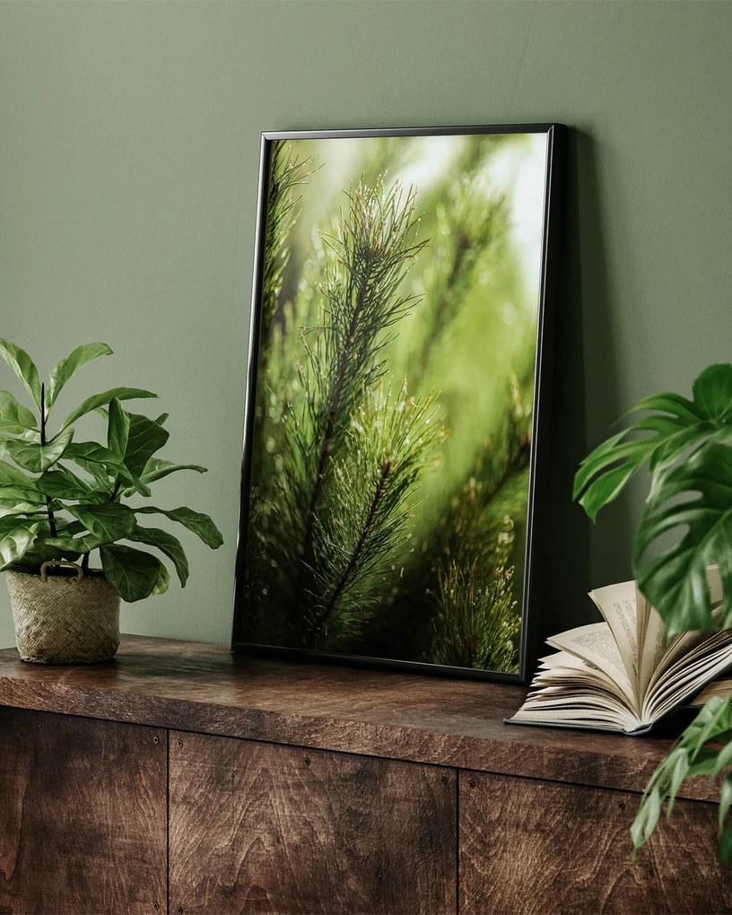 Oboustranný plakát Borové Větve / Lesní Potok při Východu Slunce | 30 x 42 cm | DP351327
