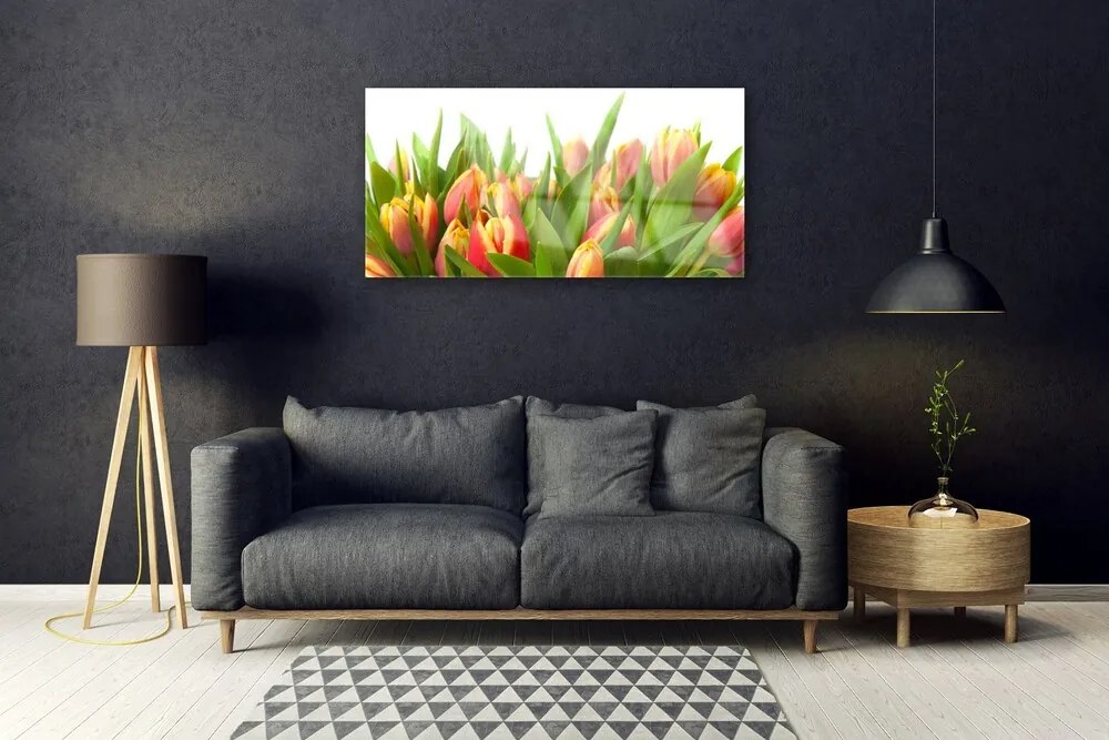 Obraz na skle Tulipány Květiny Rostlina 100x50 cm