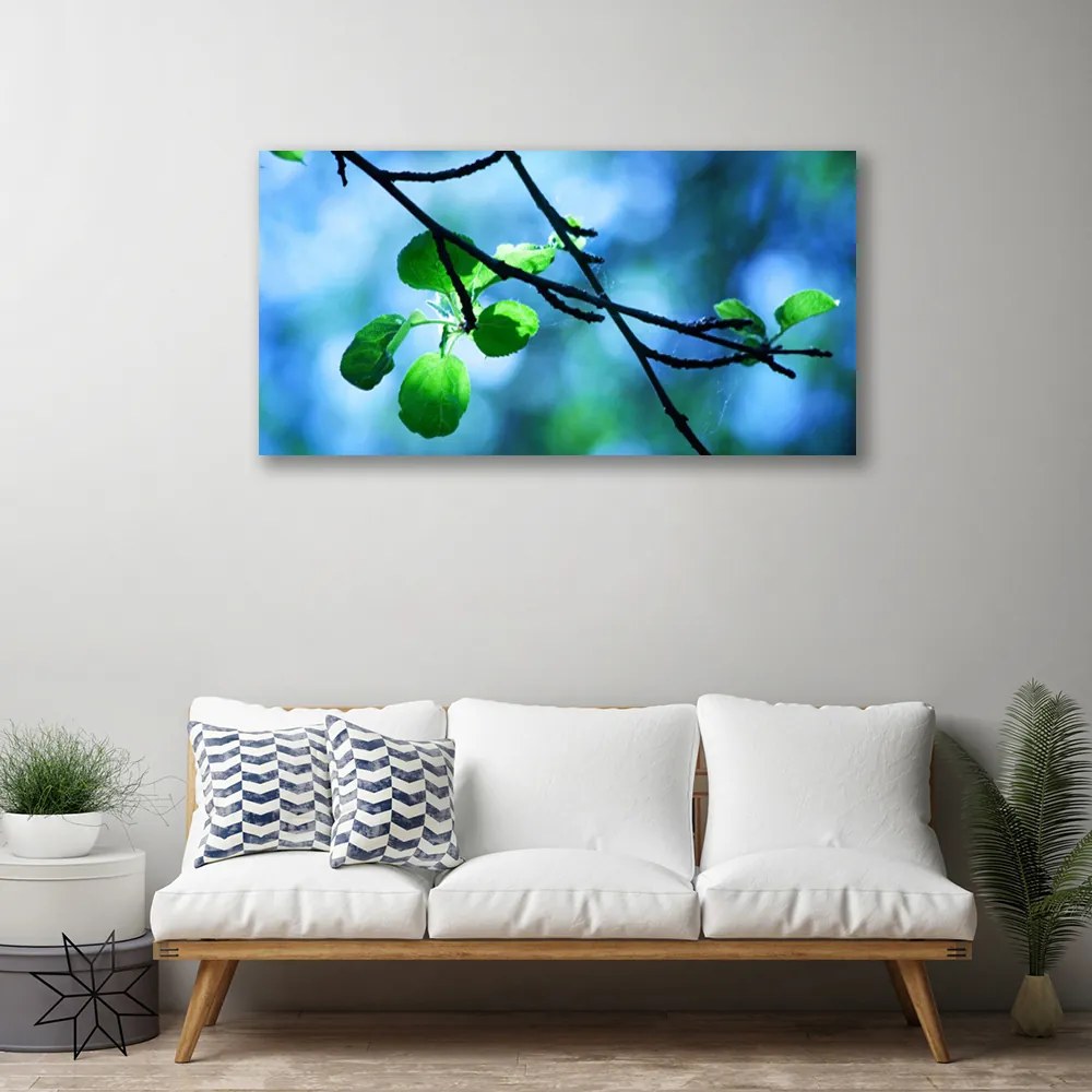 Obraz na plátně Větev Listy Rostlina Příroda 120x60 cm