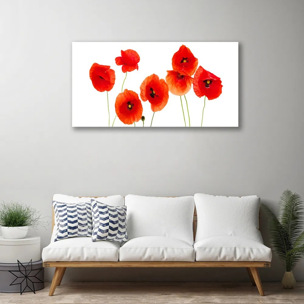Obraz na plátně Máky Rostlina Příroda 120x60 cm