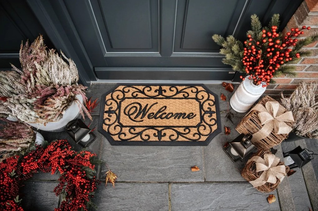Hanse Home, Rohožka Welcome 105713 - na ven i na doma, 45x75, hnědá, chodba / předsíň