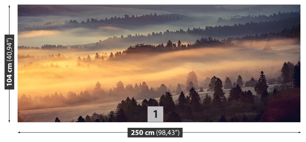 Fototapeta Horský les 104x70