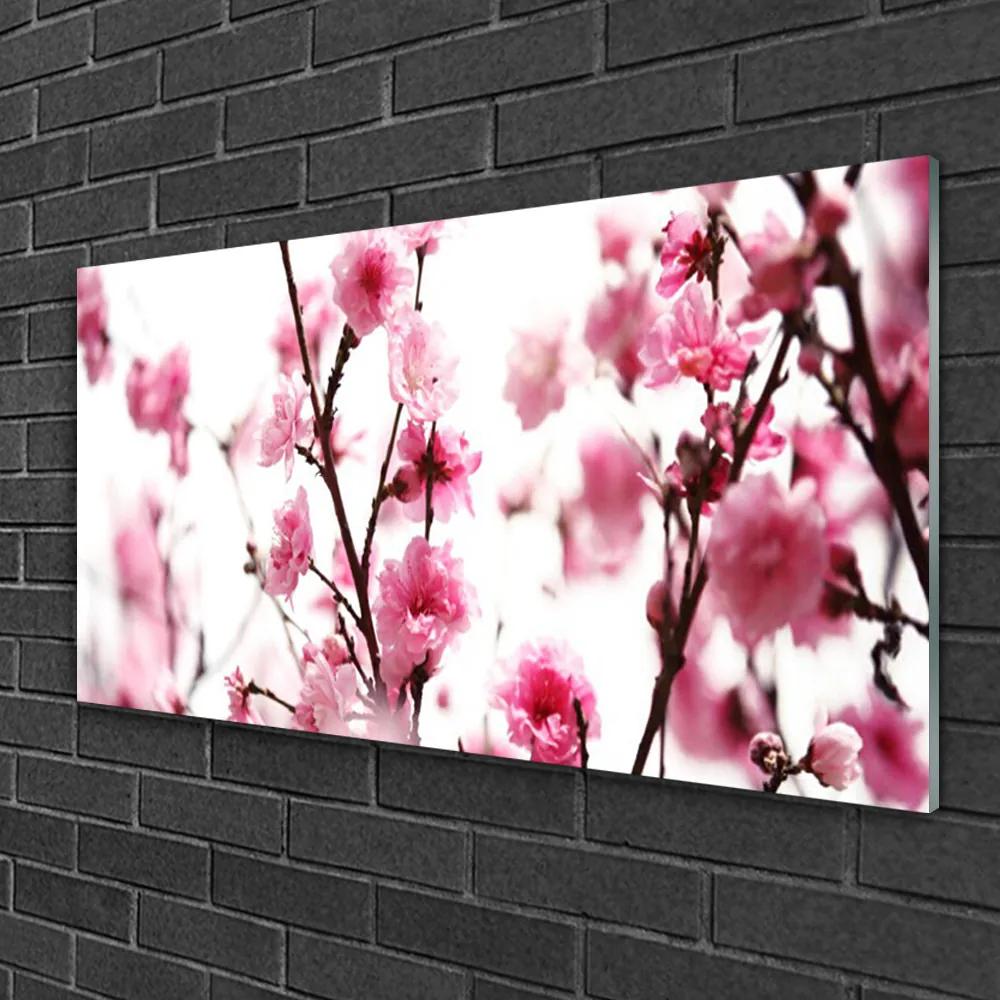 Obraz na skle Větve Květiny Rostlina 125x50 cm