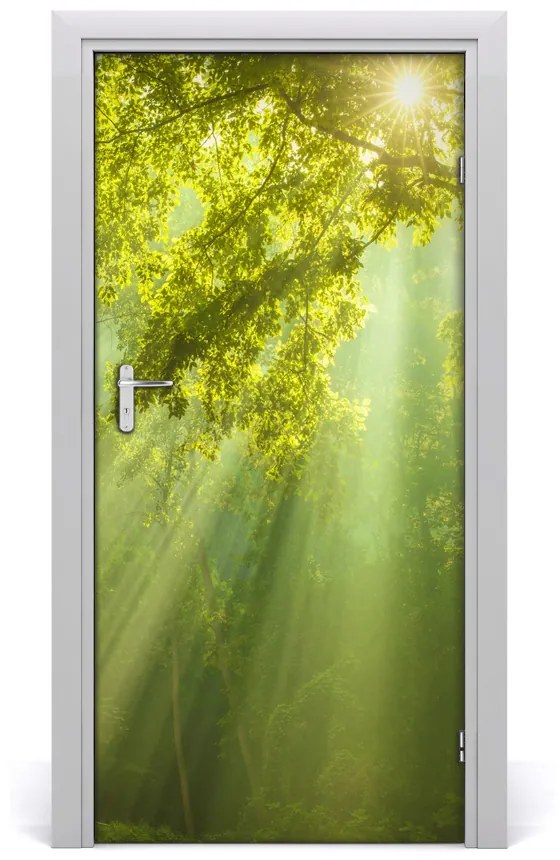 Fototapeta na dveře slunce v lese 85x205 cm