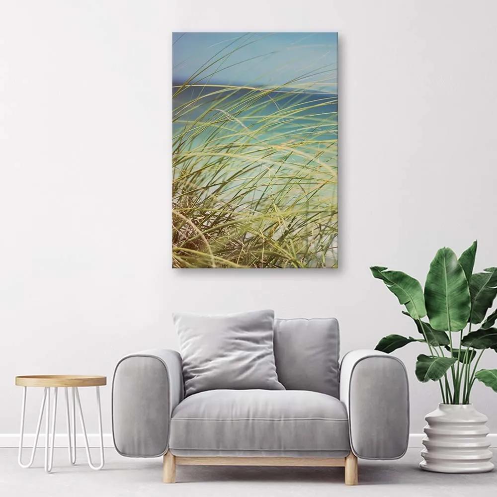 Gario Obraz na plátně Tráva na dunách Rozměry: 40 x 60 cm