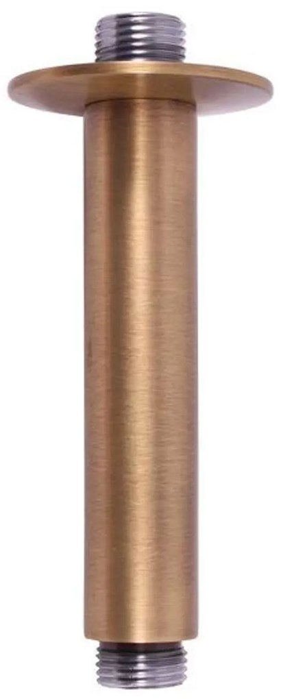 RAV Slezák - Sprchové rameno stropní, 15 cm, mosaz MD0311SM