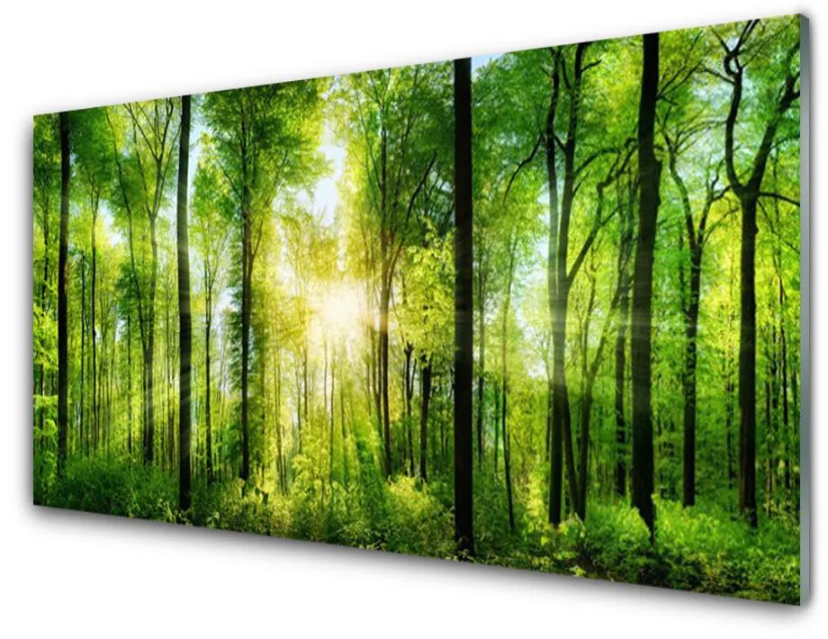 akrylový obraz Les Příroda 140x70 cm