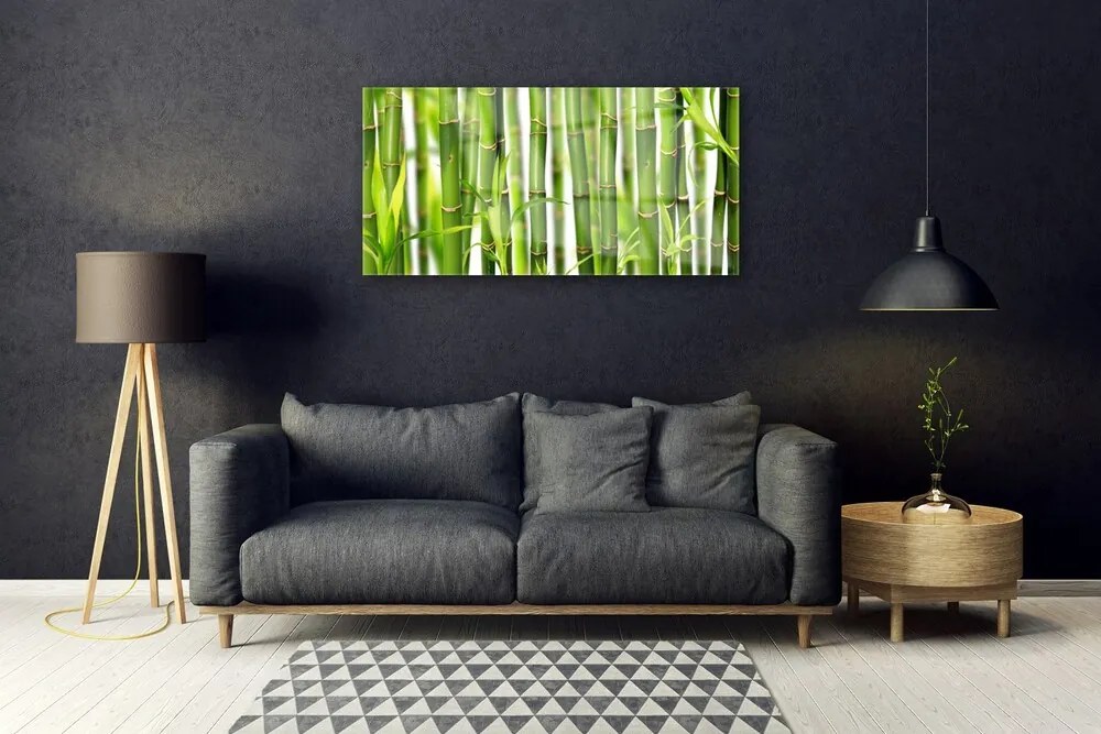 Obraz na skle Bambusové Výhonky Listy Bambus 140x70 cm
