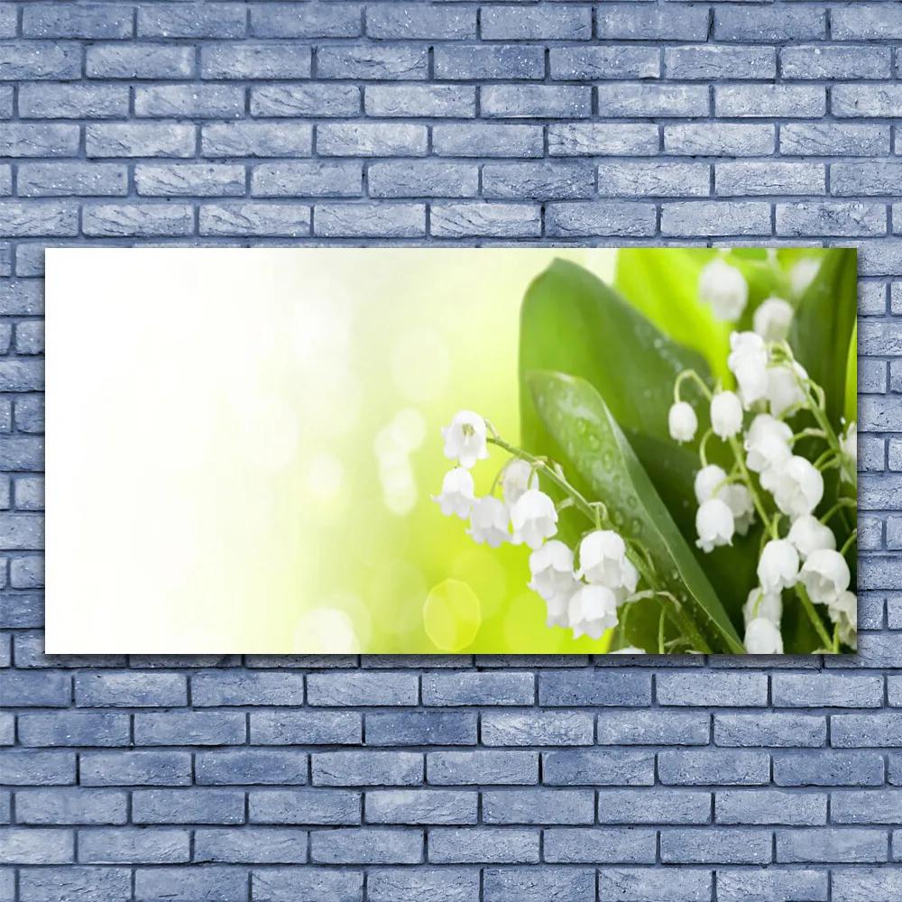 Plexisklo-obraz Konvalinky Listy Květiny Louka 120x60 cm