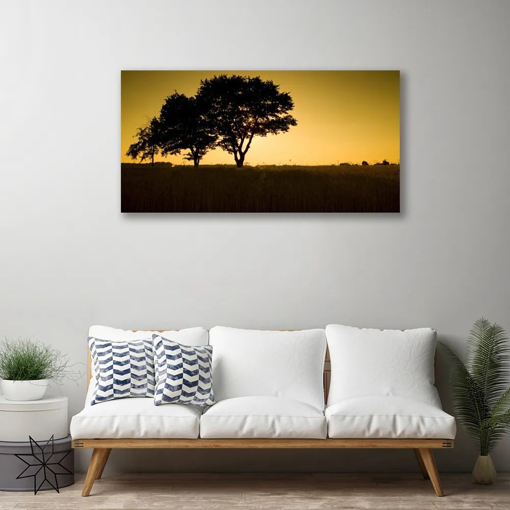 Obraz na plátně Stromy Příroda Rostlina 100x50 cm