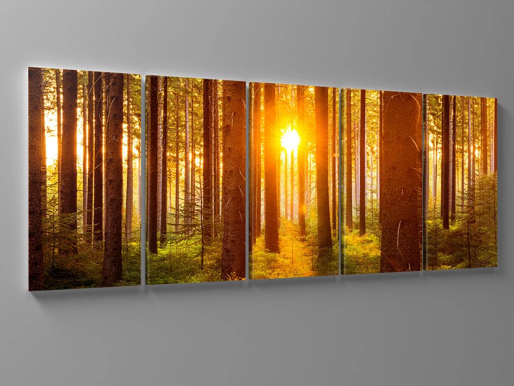Liox Obraz rozbřesk v lese Rozměr: 200 x 80 cm