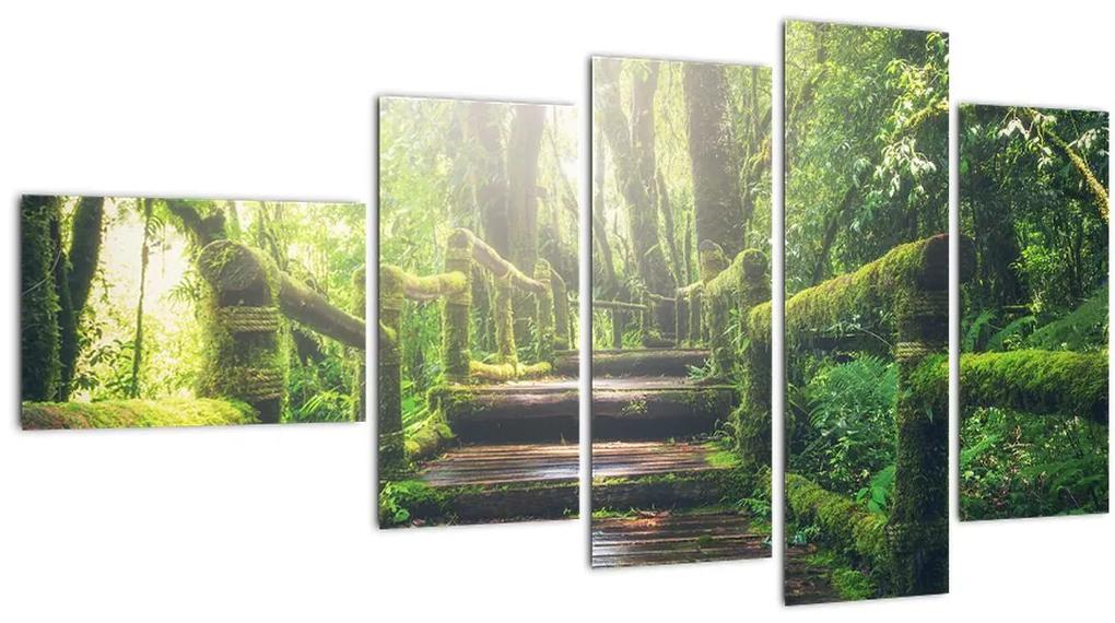 Obraz - dřevěné schody v lese (110x60 cm), 40 dalších rozměrů