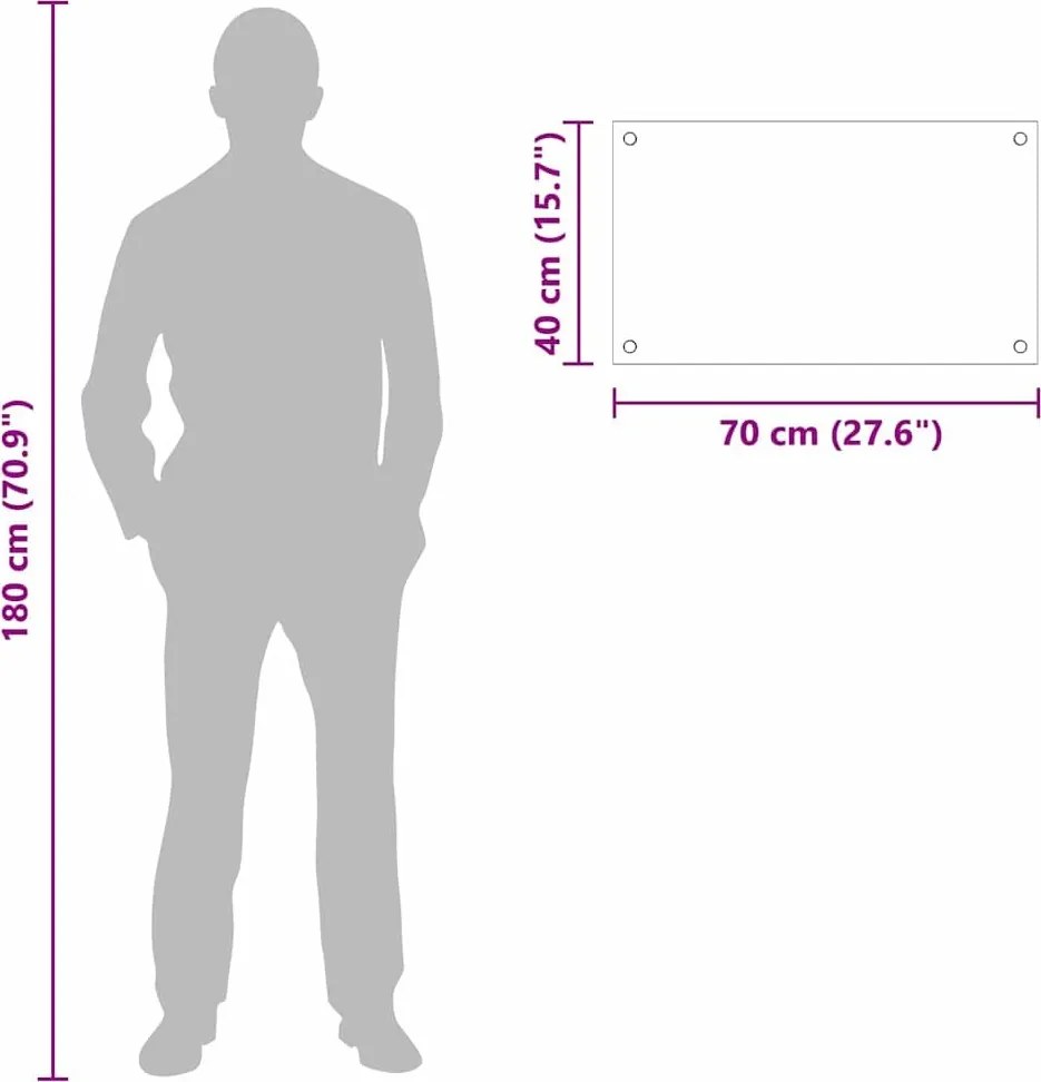 vidaXL Kuchyňský obklad Transparentní 70 x 40 cm tvrzené sklo [42018020]