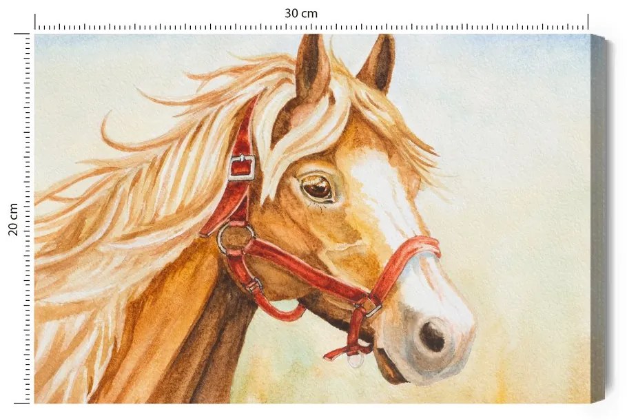 Obraz Kůň Malovaný Akvarelem Nedostatek Nedostatek Plátno Canvas 40x30
