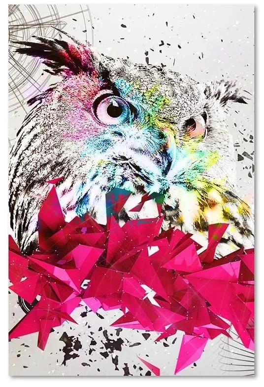 Obraz na plátně Barevná sova abstraktní - 60x90 cm
