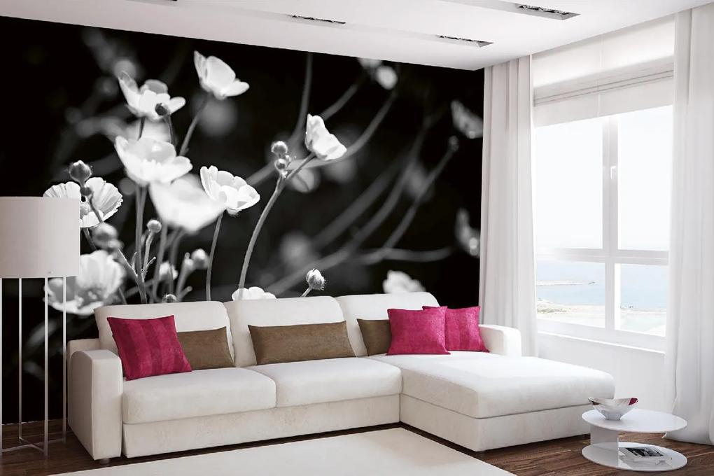 DIMEX | Samolepicí vliesová fototapeta na zeď Černé a bílé květy MA-5-1321 | 375 x 250 cm | bílá, černá