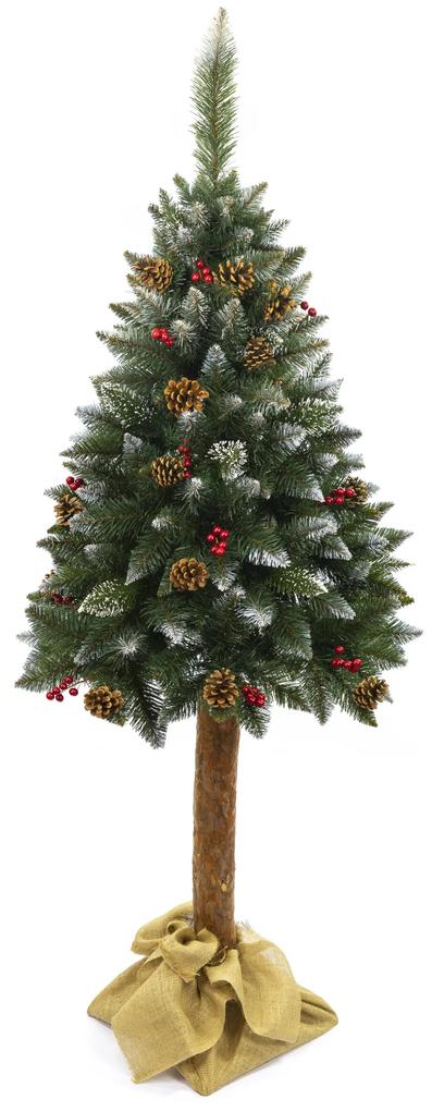 Vánoční stromek Borovice diamantová s jeřabinou na pníku 160 cm