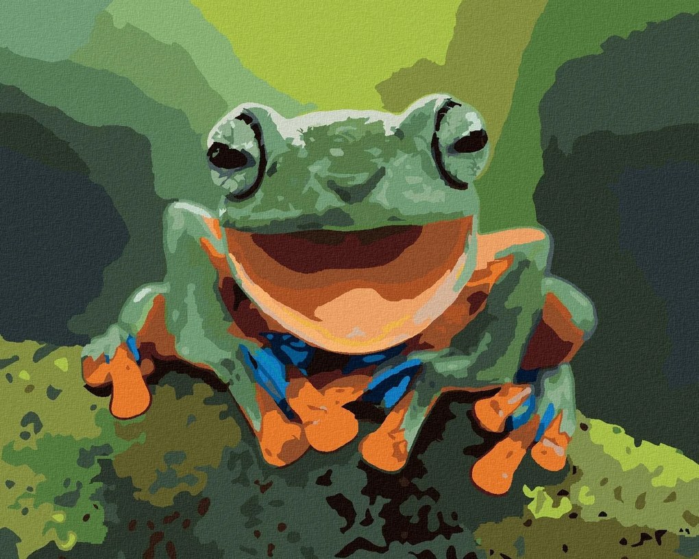 zuty zuty - malování podle čísel - smějící se žába, 40x50 cm, plátno+rám