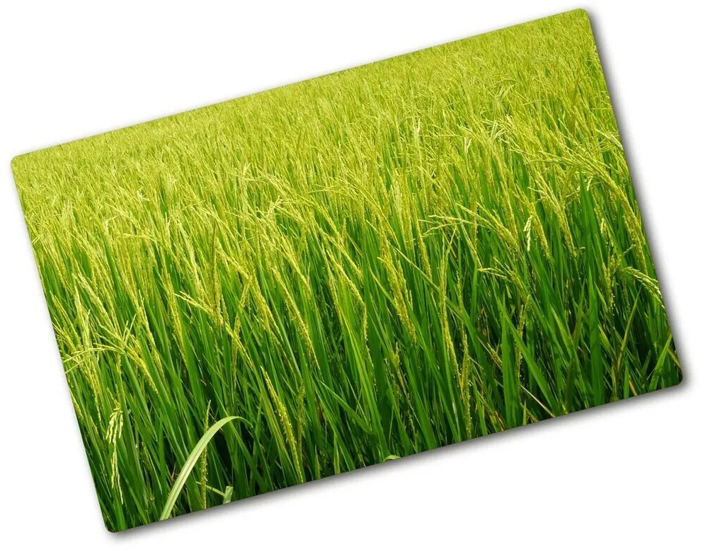 Wallmuralia Deska na krájení skleněná Rýžové pole 80x52 cm