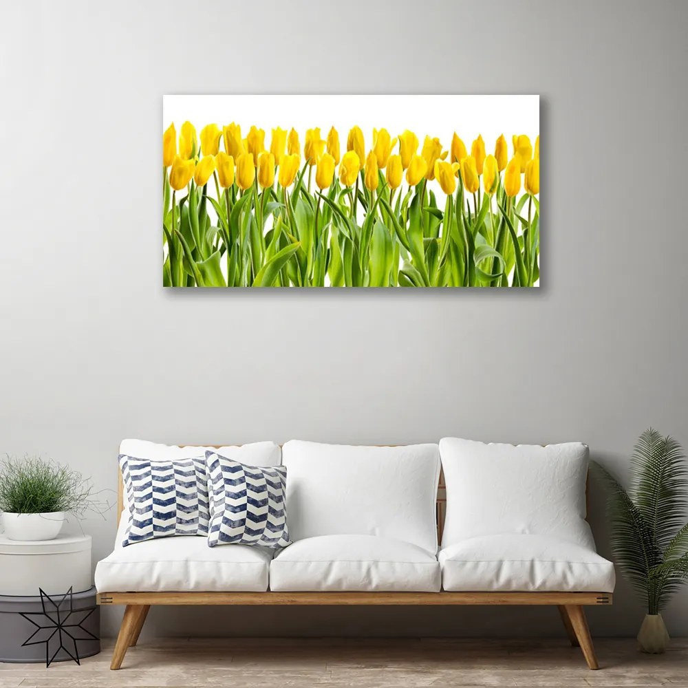 Obraz na plátně Tulipány Květiny Příroda 140x70 cm