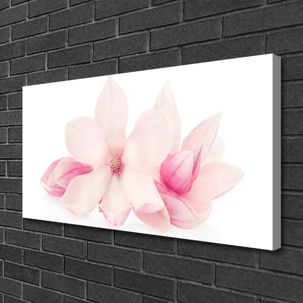 Obraz na plátně Květiny Plátky Rostlina Příroda 125x50 cm