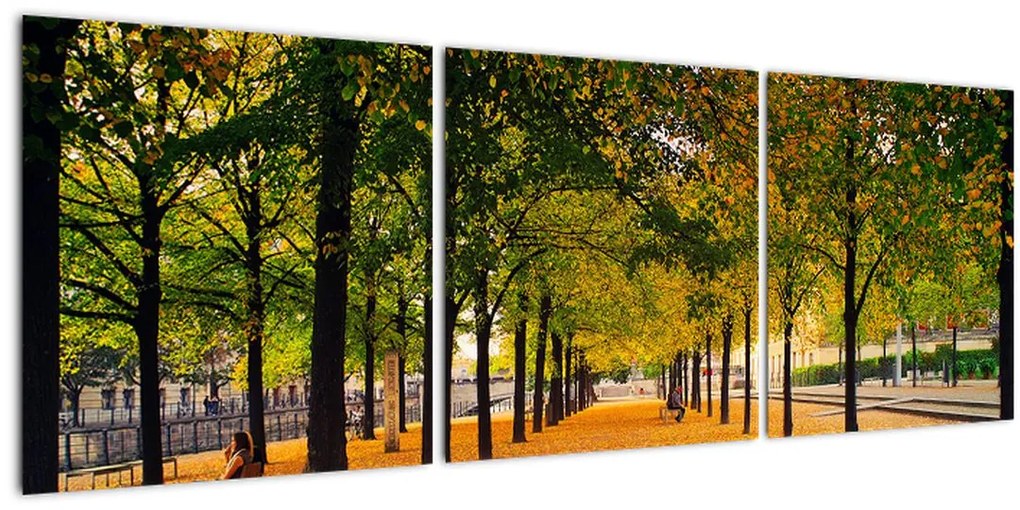 Obraz aleje podzimních stromů (120x40 cm), 40 dalších rozměrů