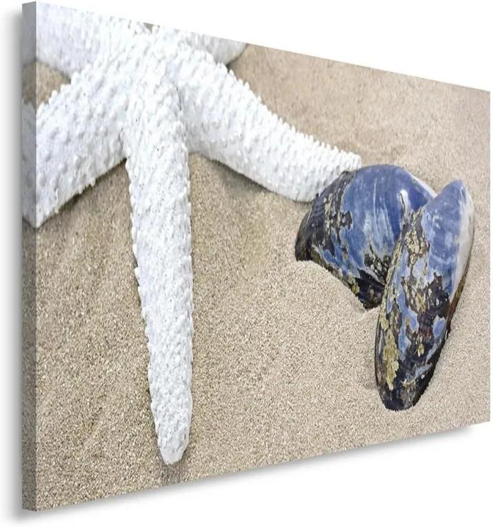 CARO Obraz na plátně - Souvenirs From The Sea 2 40x30 cm