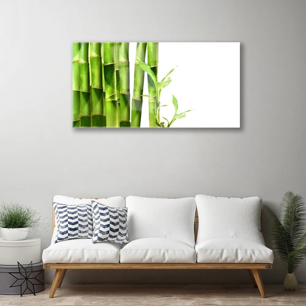 Obraz na skle Bambus Rostlina 140x70 cm