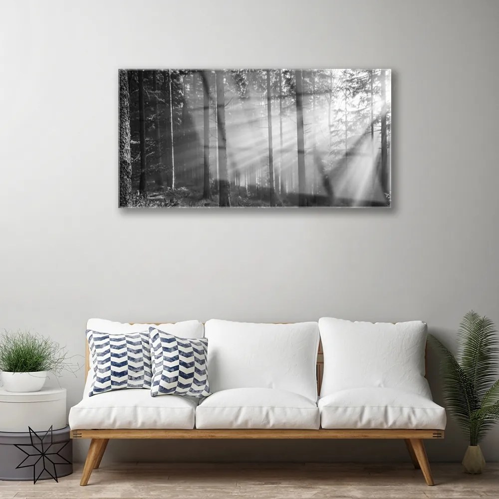 Obraz na skle Les Příroda Paprsky Slunce 120x60 cm