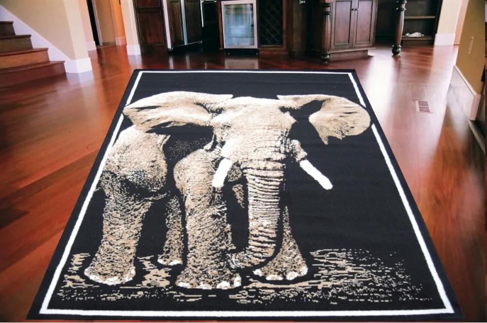 Kusový koberec PP Slon černý, Velikosti 140x200cm