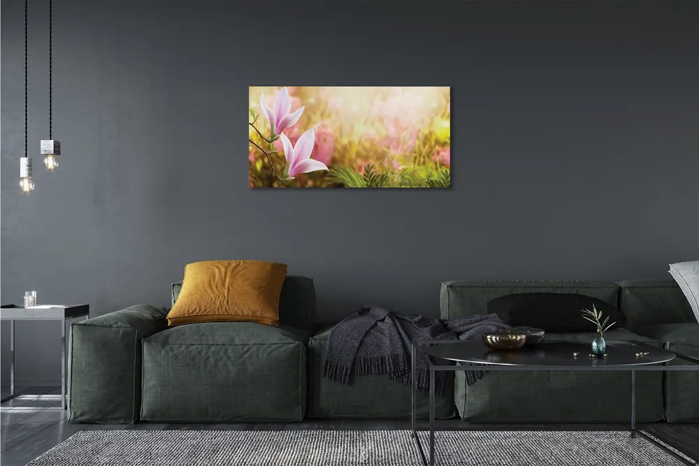 Obrazy na plátně Magnolie strom slunce 120x60 cm