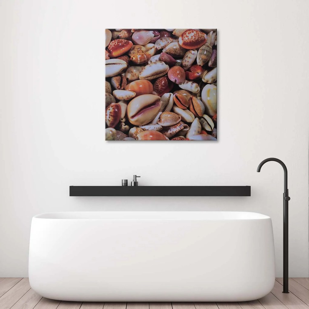 Gario Obraz na plátně Malé mušle zblízka Rozměry: 30 x 30 cm