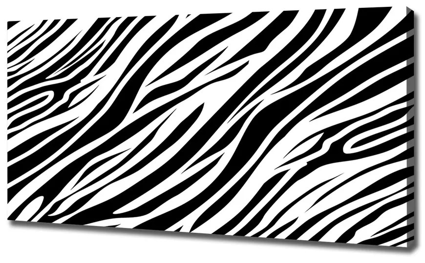 Wallmuralia Foto obraz canvas Zebra pozadí 120x60 cm