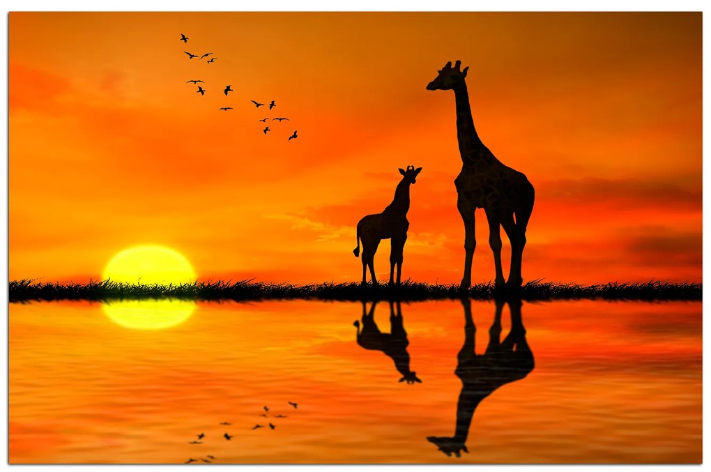 Obraz na plátně - Žirafy silueta 1919A (90x60 cm  )