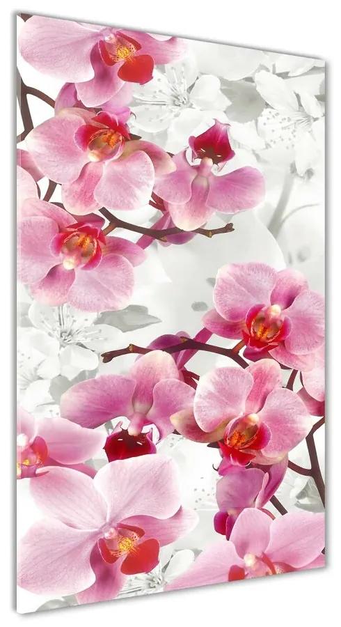 Wallmuralia Foto obraz akrylové sklo vertikální Růžová orchidej 50x100