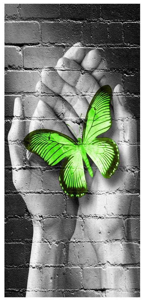 Fototapeta na dveře - Zelený motýl v dlaních (95x205cm)