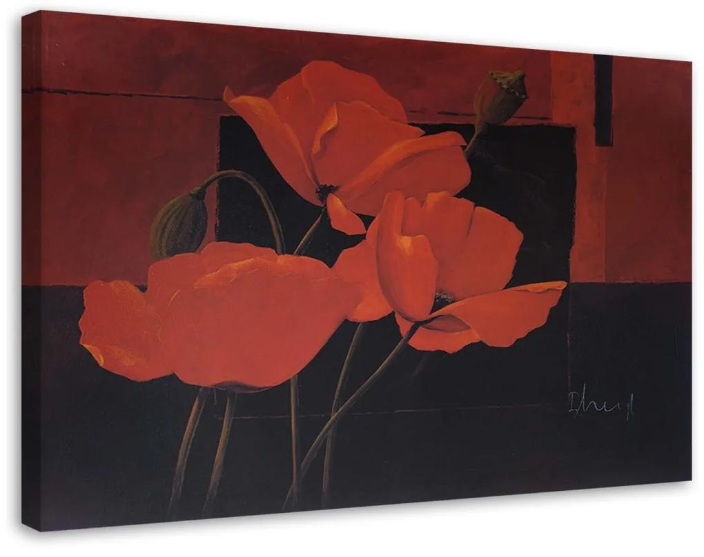 Obraz na plátně Květy máku Červená - 100x70 cm