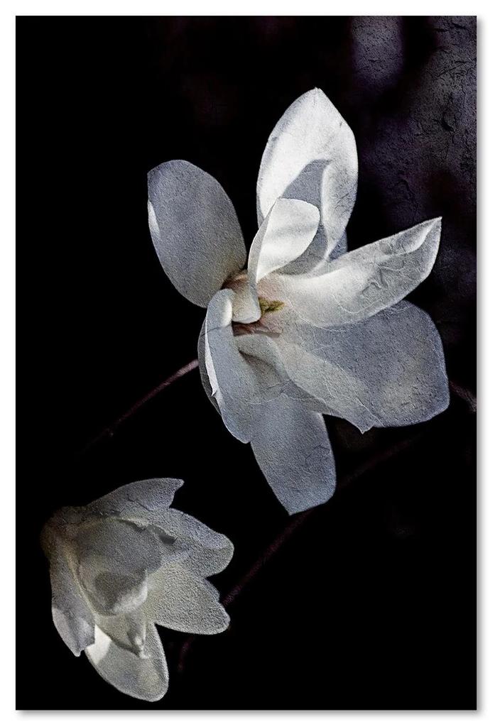 Gario Obraz na plátně Květ z kvetoucího stromu - Dmitry Belov Rozměry: 40 x 60 cm