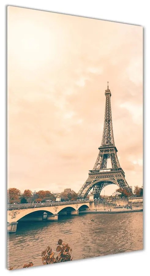 Wallmuralia Foto obraz akrylový do obýváku Eiffelová věž Paříž 60x120 cm