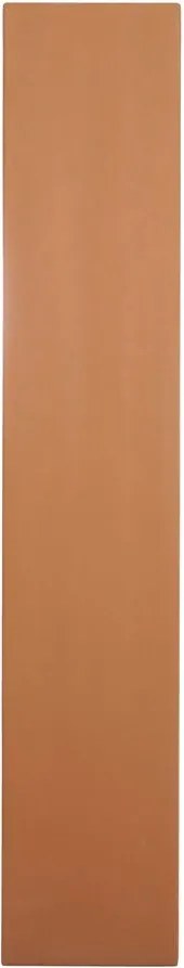 Knihovna v terakotové barvě 60x190x35 cm Naluno – Light & Living