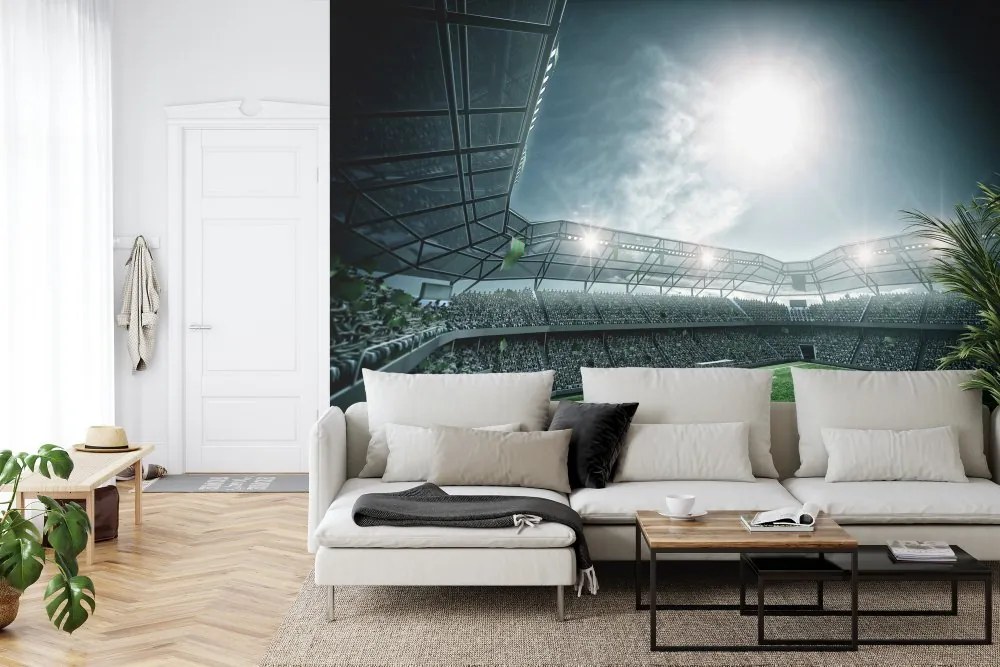 Fototapeta Fotbalový Stadion Hladký vinyl 90x60