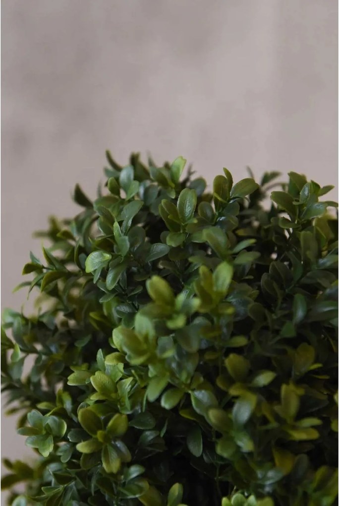 Umělý buxus BUXA, plast, výška 70 cm, zelený