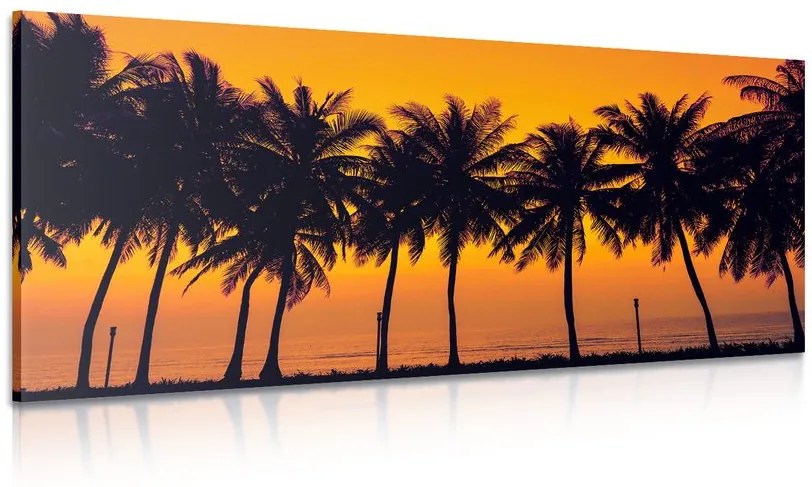 Obraz západ slunce nad palmami Varianta: 100x50