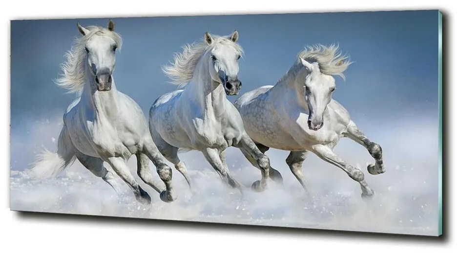 Wallmuralia Foto-obraz na skle horizontální Koně ve cvalu 125x50 cm