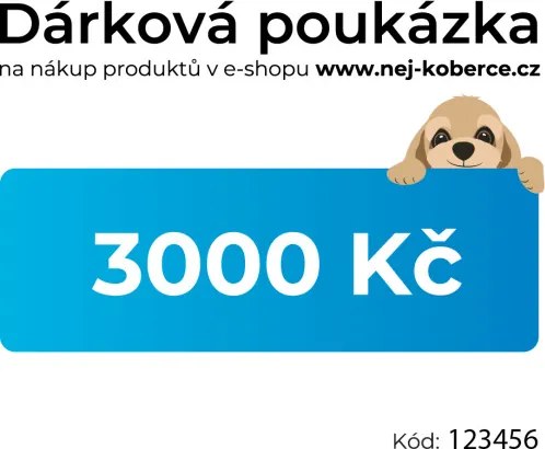 Dárková poukázka 3000 Kč
