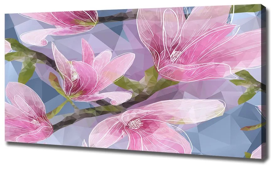 Wallmuralia Foto obraz na plátně do obýváku Růžová magnolie 120x60 cm